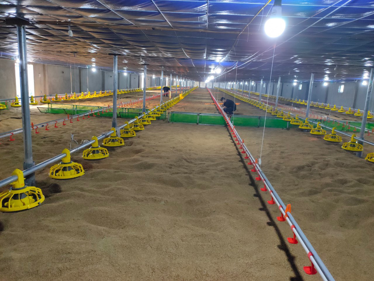 CẤU TẠO HỆ THỐNG MÁNG ĂN TỰ ĐỘNG GÀ – HIFARM